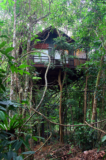 Khao Sok Tree House | Rooms Accommodation