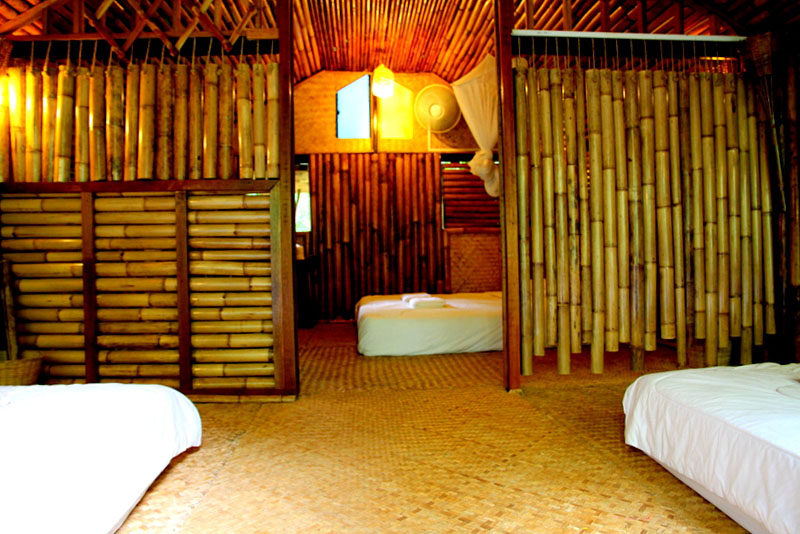 Khao Sok Tree House | Rooms Accommodation
