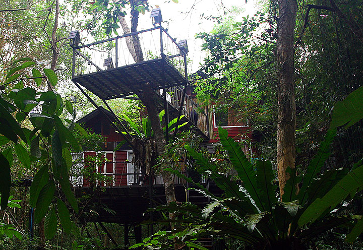 Khao Sok Tree House | Rooms Accommodation