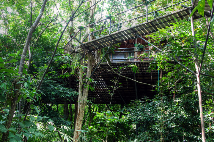 Photo Gallery Khao Sok Tree House | visual impression of what we offer