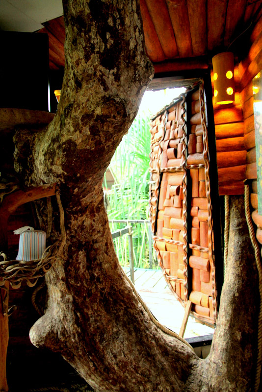 Khao Sok Tree House | Rooms Accommodation